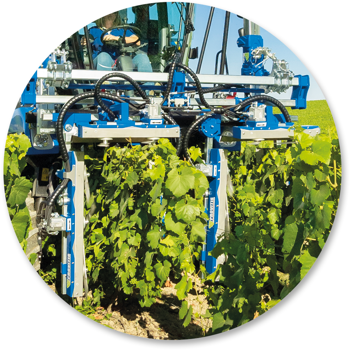 Rogneuse ST120 OMEGA 9000 - Provitis