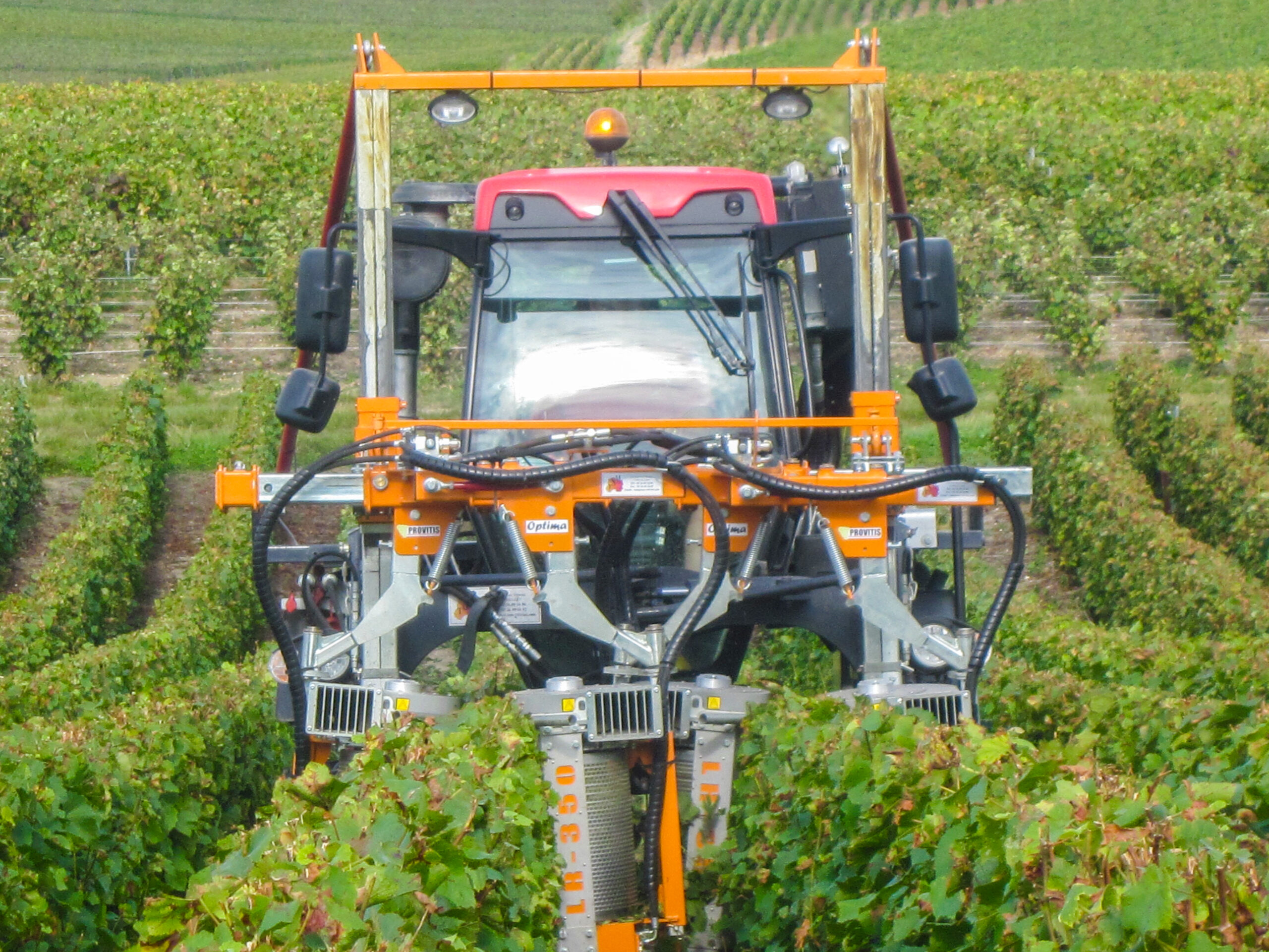 Versatile support narrow-spaced vineyard - Provitis