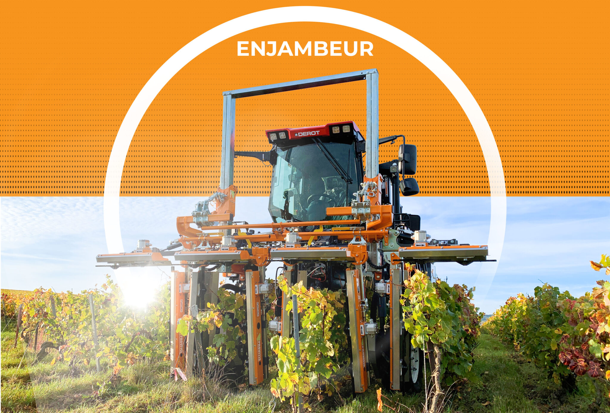 Vignes Étroites - Provitis